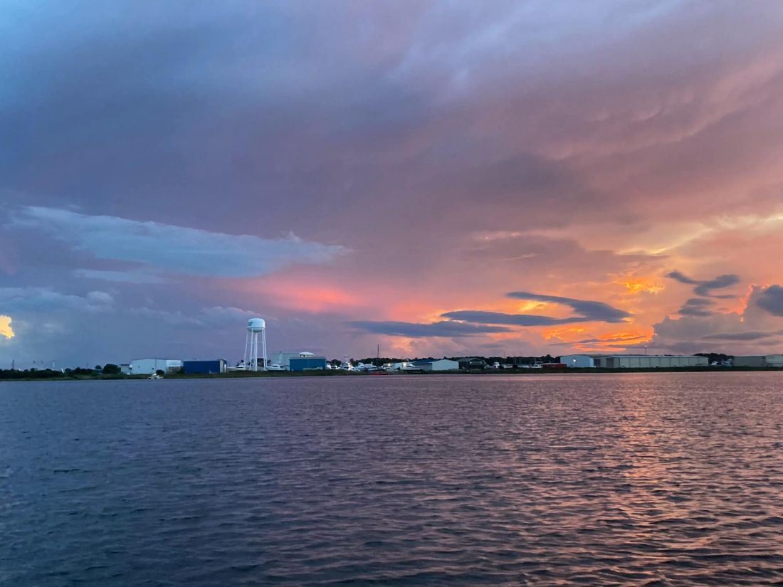 Harbor Star Dolphin Tours | Outer Banks