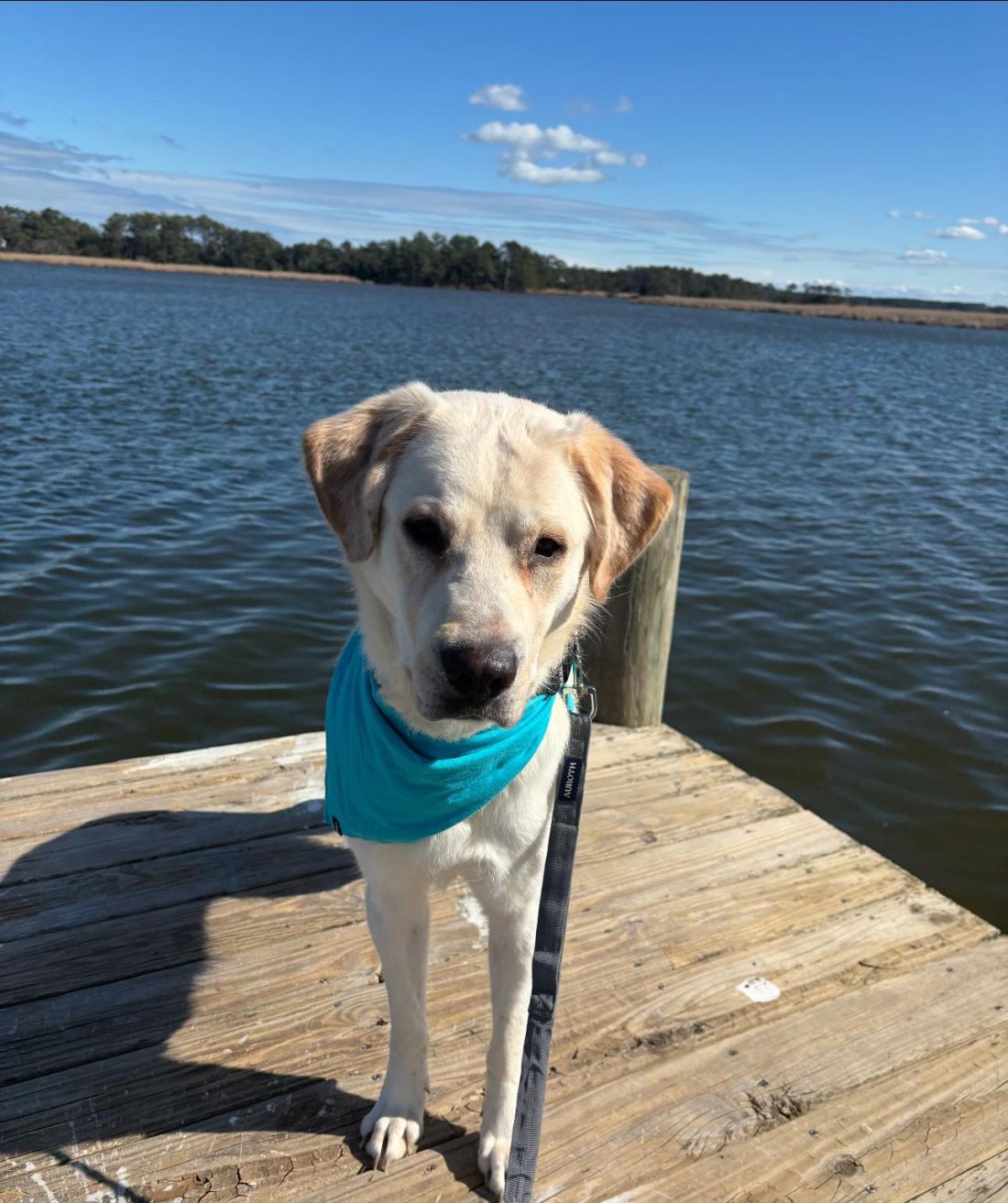 OBX Campground | Outer Banks