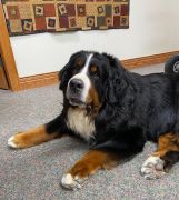 Rusty Crow Quilt Shop | Outer Banks