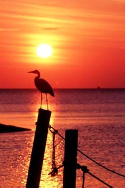 The Waterfront Shops in Duck, NC | Outer Banks Guide